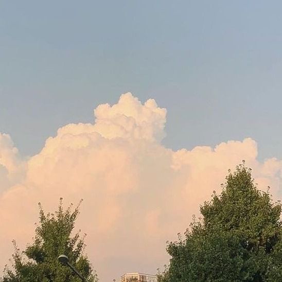 ‎dubio’s profile • Letterboxd