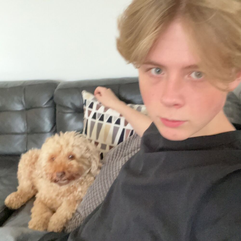 ‎Joseph Allen’s profile • Letterboxd