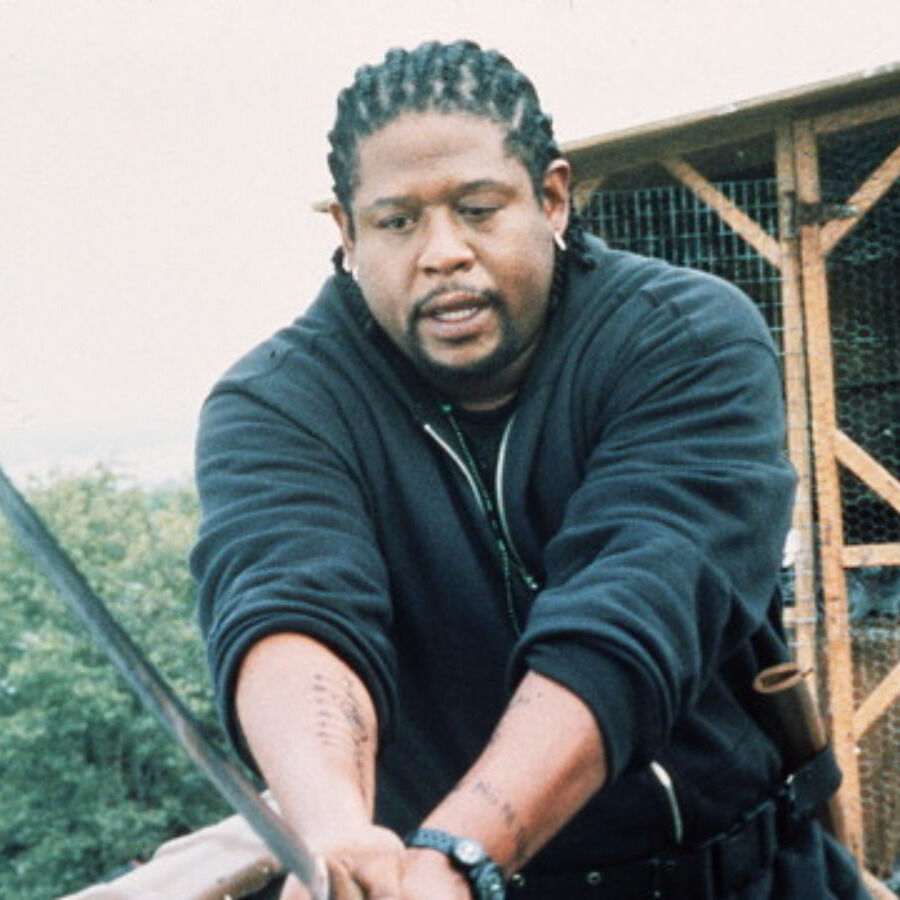 ‎Scollo’s profile • Letterboxd