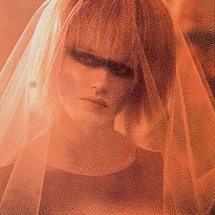 ‎Anghelo Tiska’s profile • Letterboxd