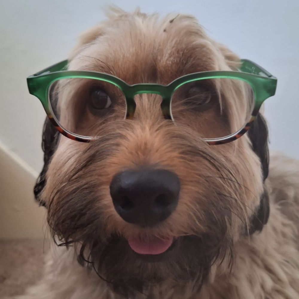 ‎abigail_berry_’s profile • Letterboxd