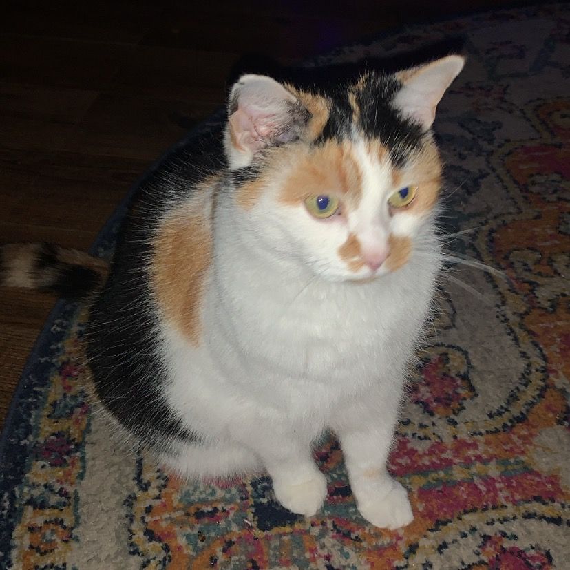 ‎irelandrm’s profile • Letterboxd