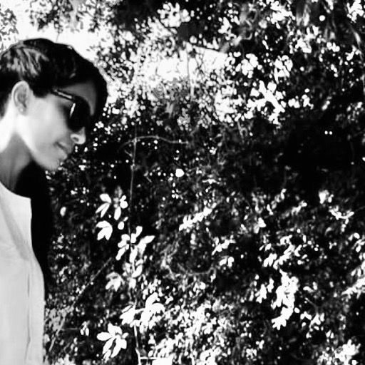 ‎Anna Cordeiro’s profile • Letterboxd