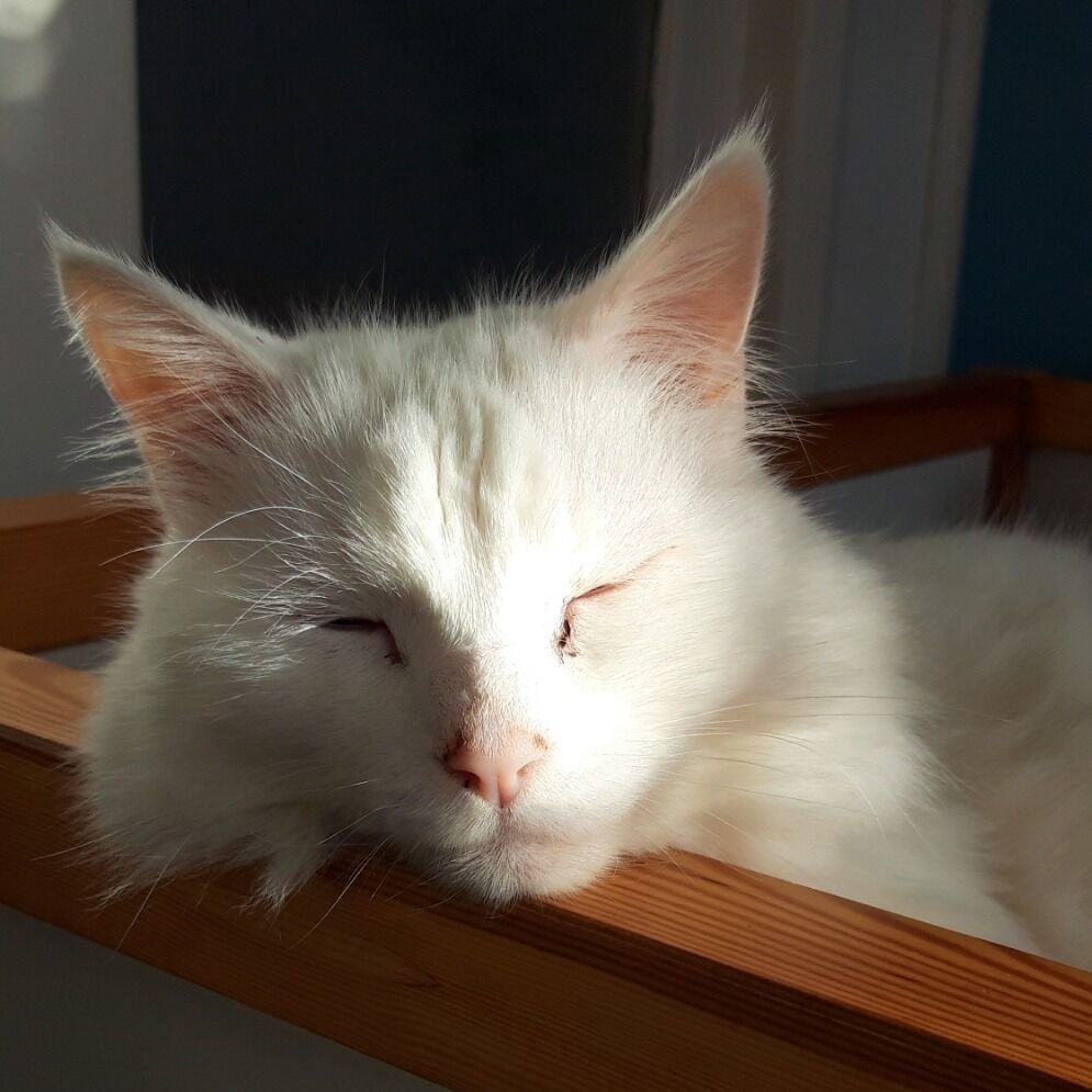 ‎Joe Beck’s profile • Letterboxd