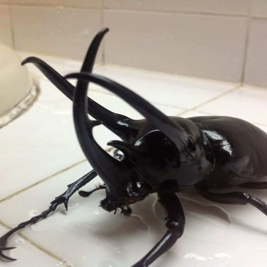 ‎alex’s profile • Letterboxd