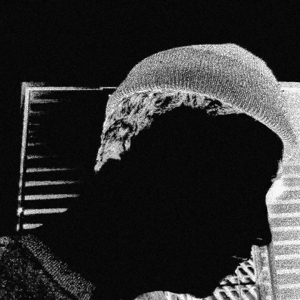 ‎Mateus Andreoli’s profile • Letterboxd