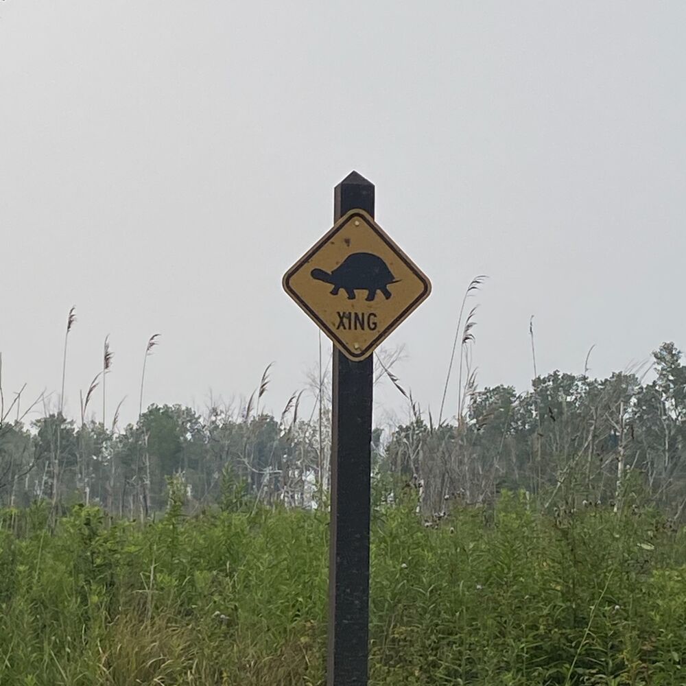 ‎ju_no_th’s profile • Letterboxd