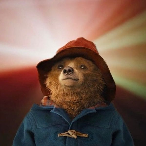 ‎Ethan Wheeler’s profile • Letterboxd