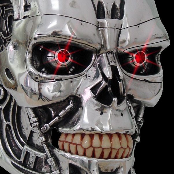 ‎Animus Vox’s profile • Letterboxd