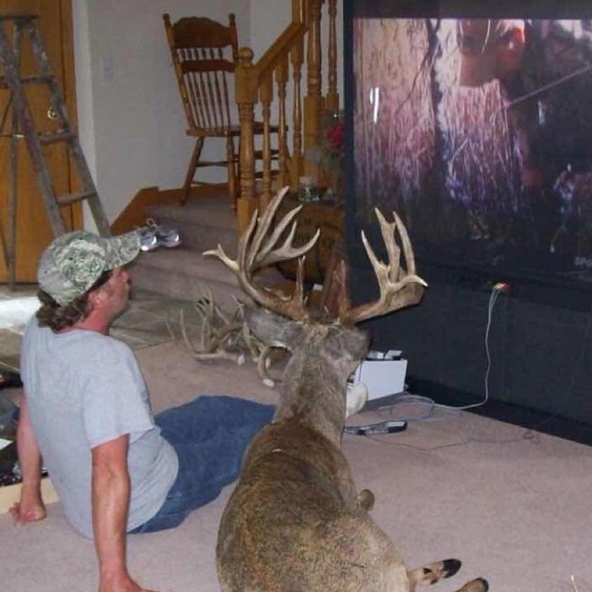 ‎mattie graves’s profile • Letterboxd