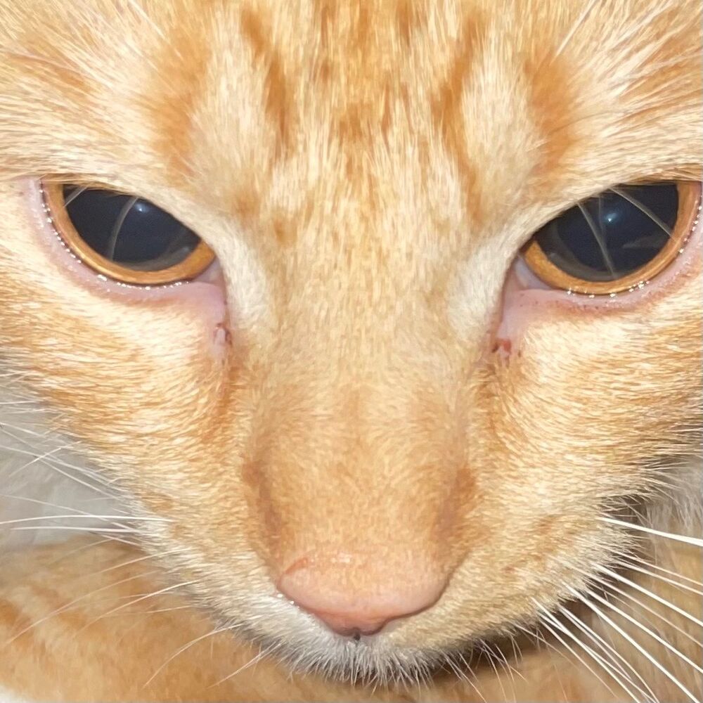 ‎Joe Moma’s profile • Letterboxd