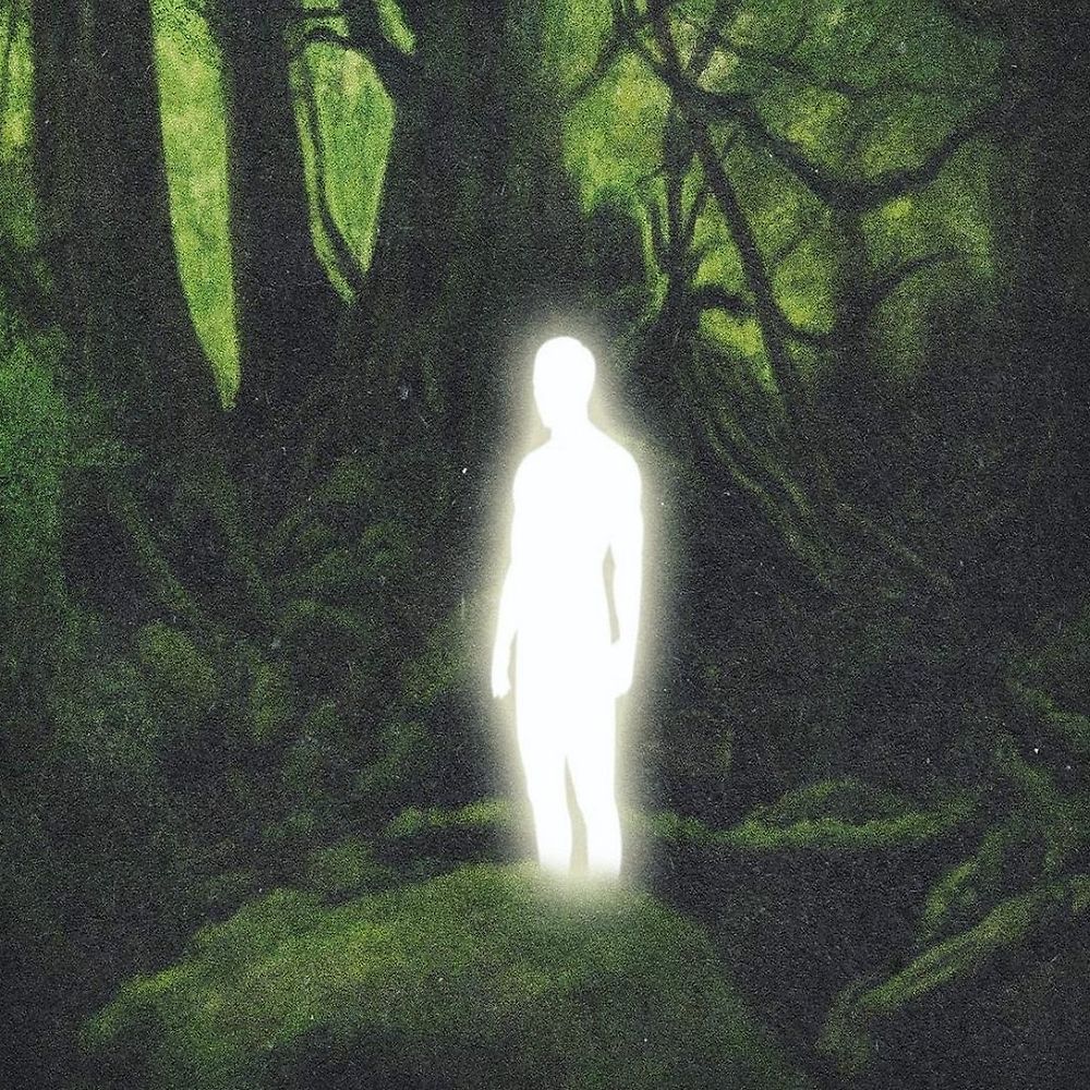 ‎Steve Williams’s profile • Letterboxd