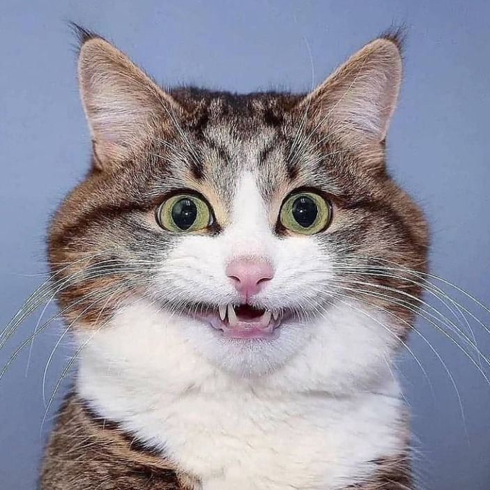 ‎Joel R.’s profile • Letterboxd