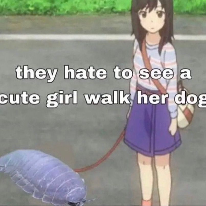 ‎caeden’s profile • Letterboxd