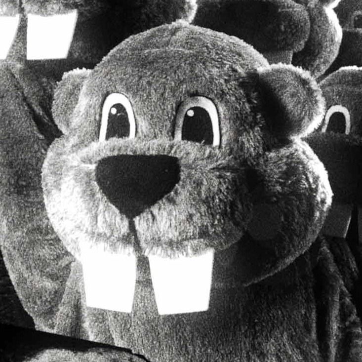 ‎Kevin ERHARD’s profile • Letterboxd