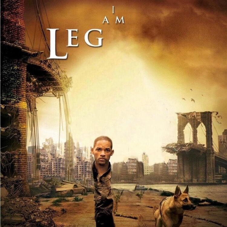 ‎varputis’s profile • Letterboxd