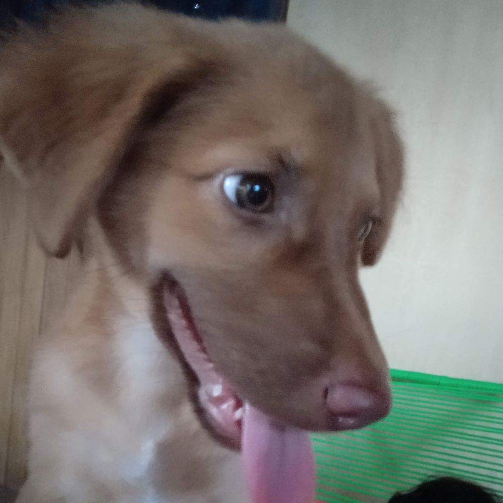 ‎Wendy Henriquez’s profile • Letterboxd