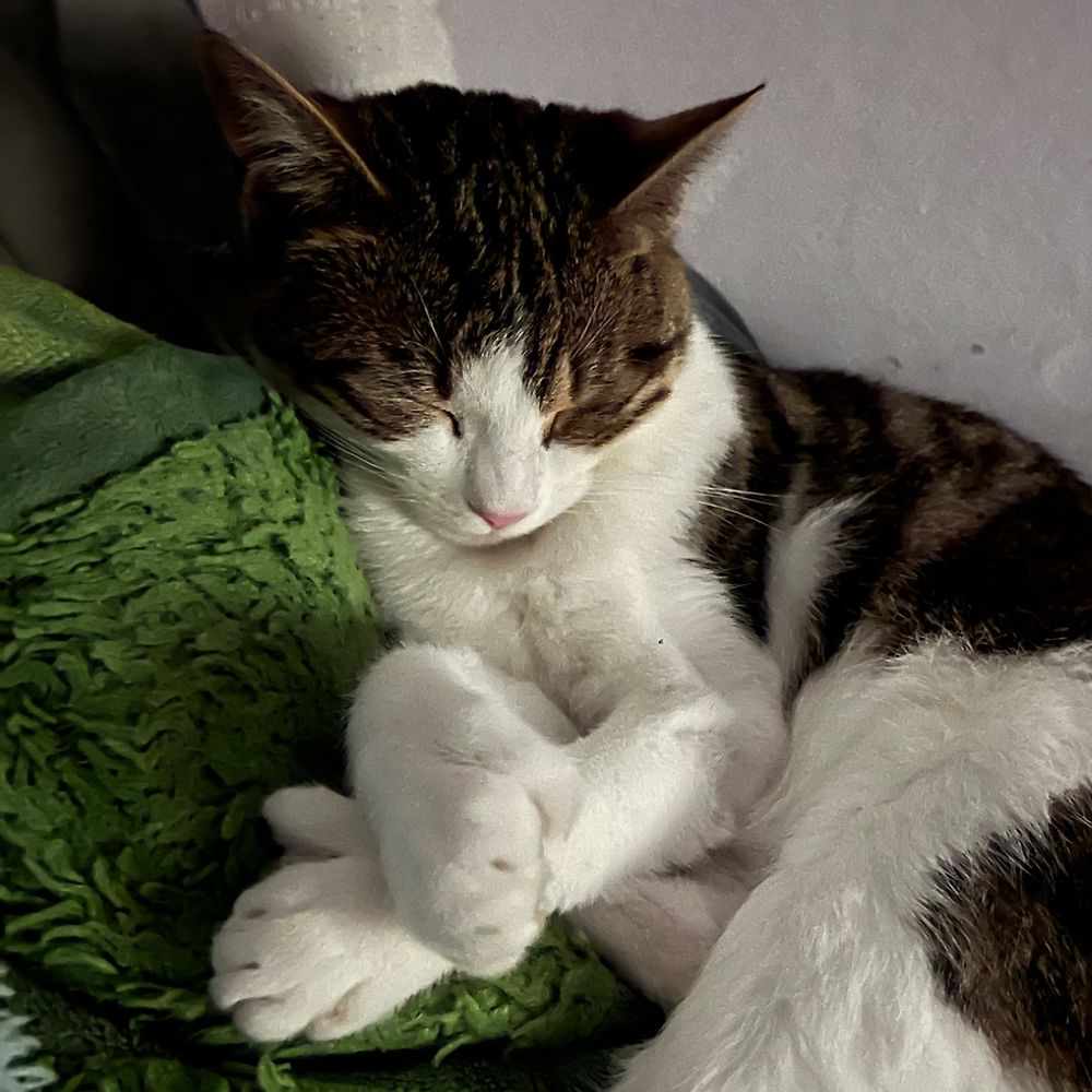 ‎parker’s profile • Letterboxd