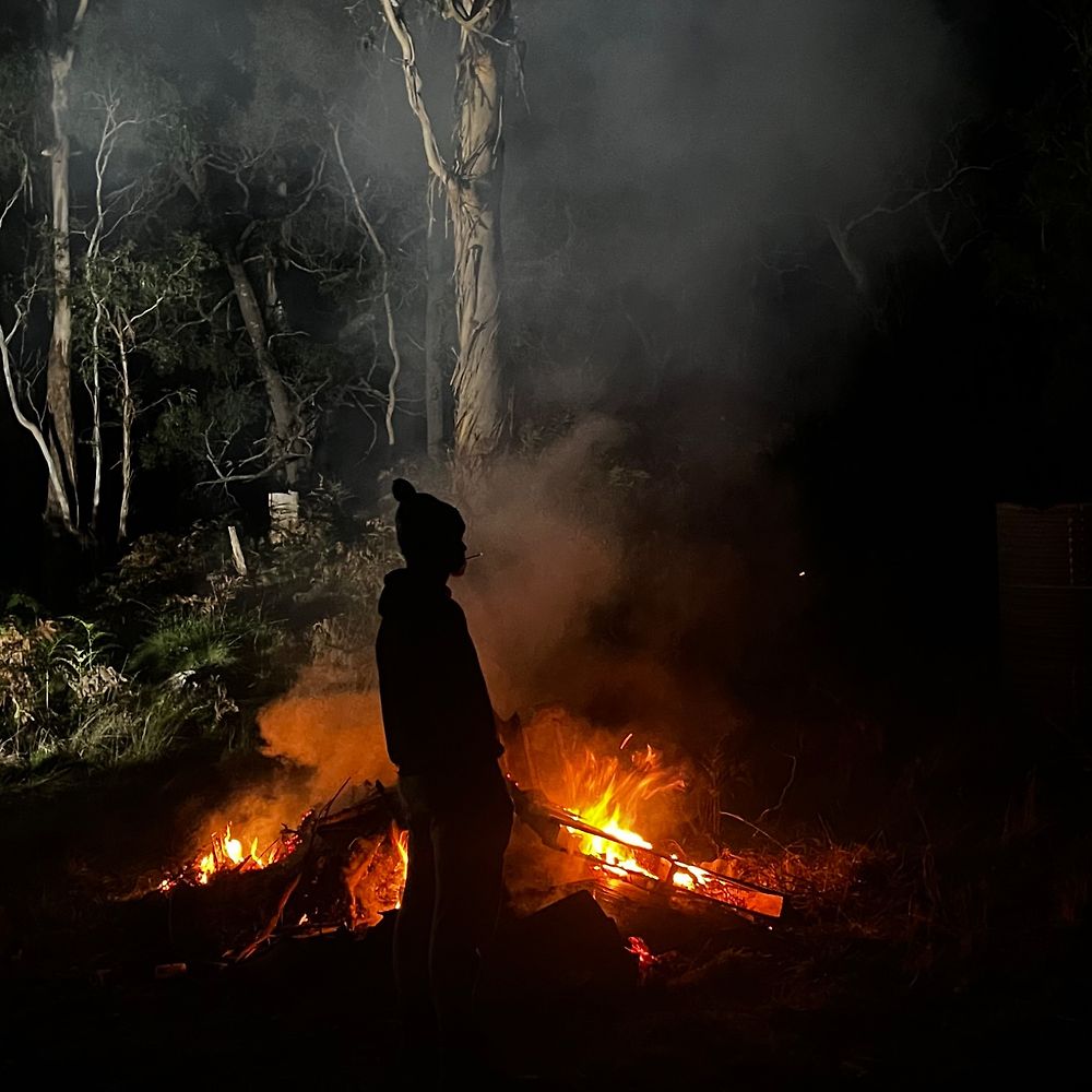 ‎Max Inderberg’s profile • Letterboxd