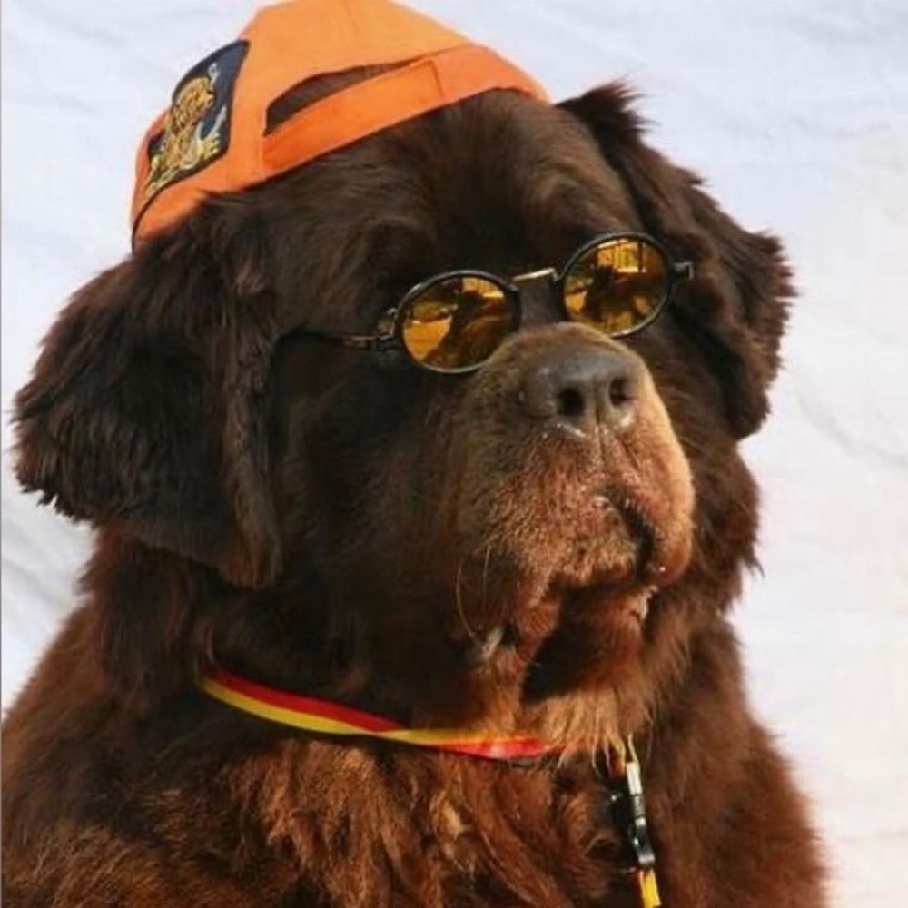 ‎Ben James’s profile • Letterboxd