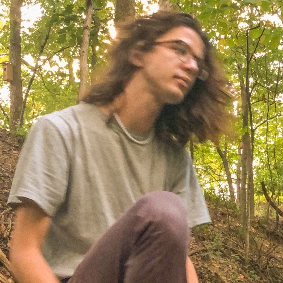 ‎sean anderson’s profile • Letterboxd