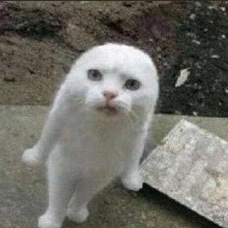 ‎filmbae’s profile • Letterboxd