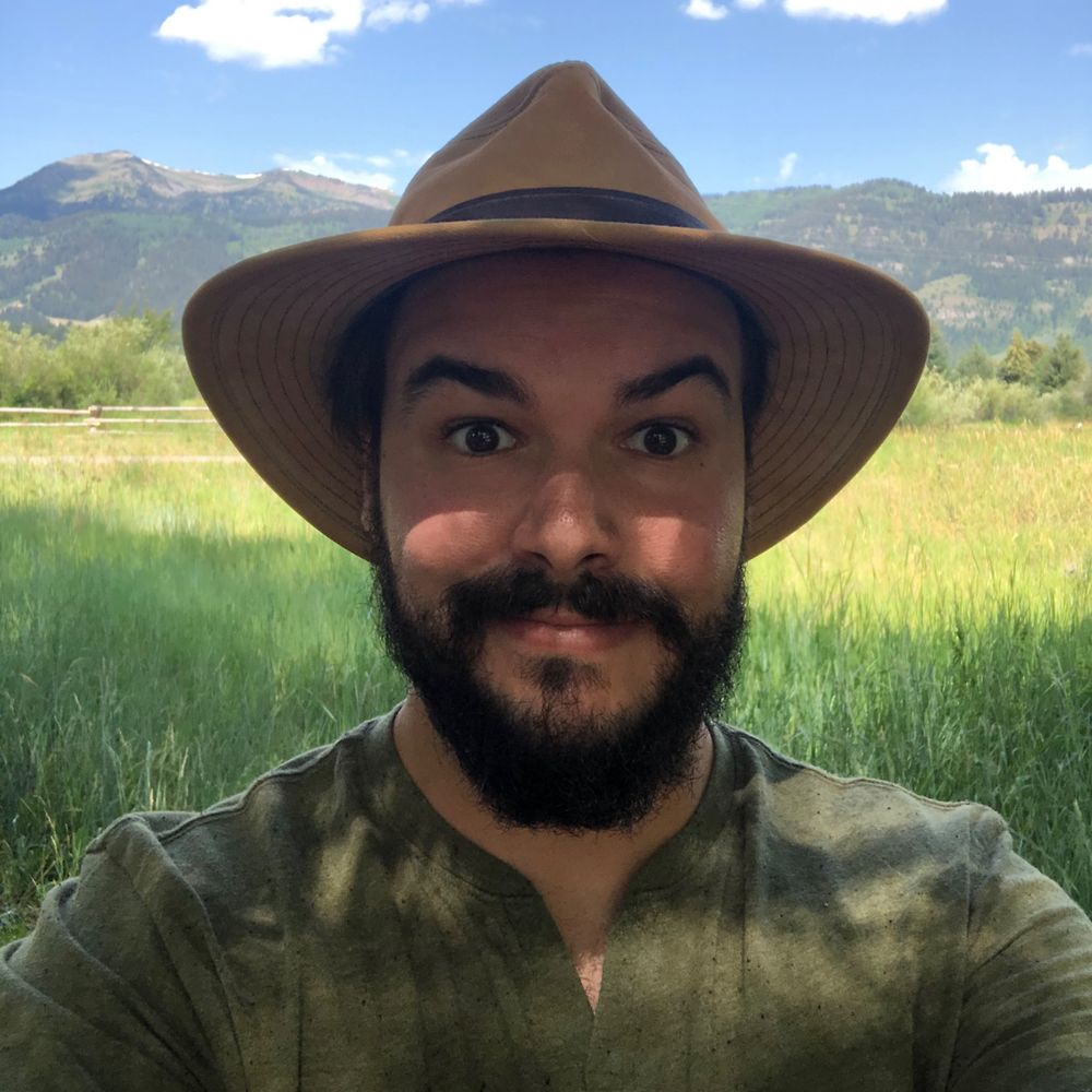 ‎Mish’s profile • Letterboxd