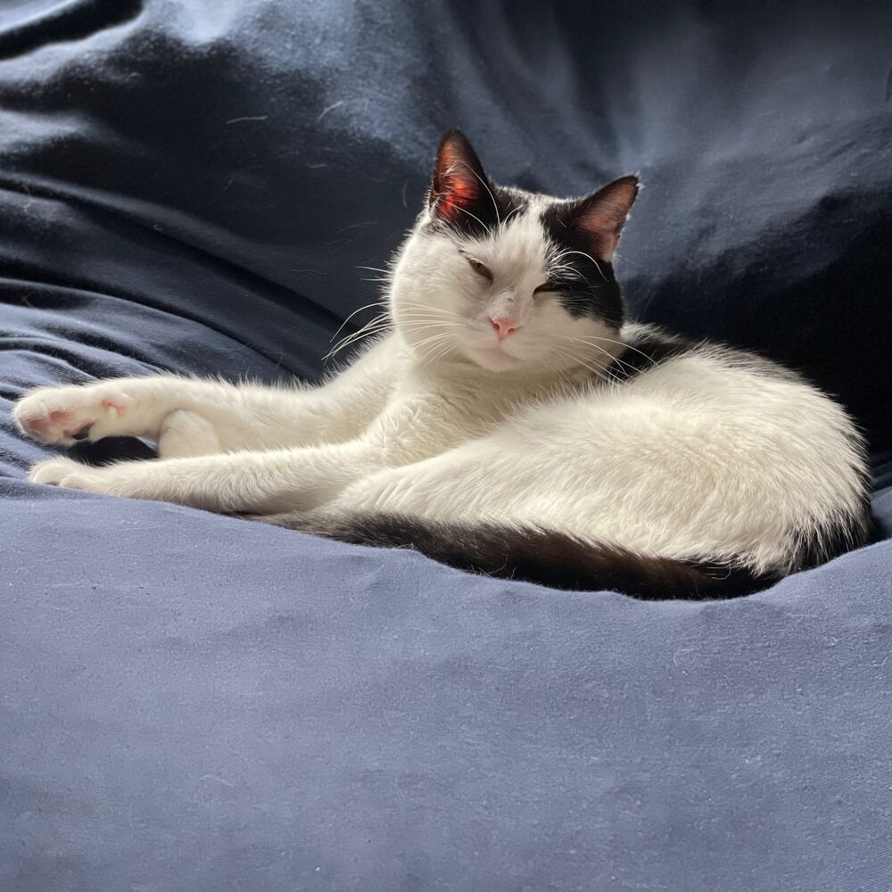 ‎Eva Smith’s profile • Letterboxd