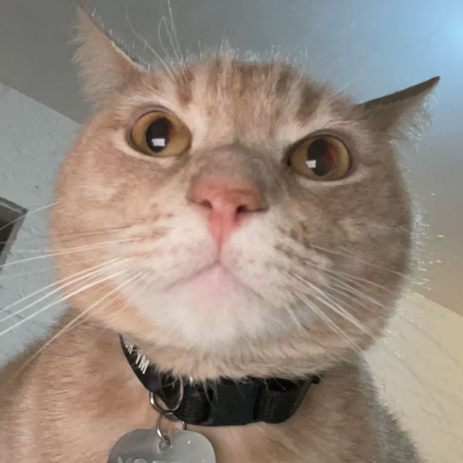 ‎isa_erbetta’s profile • Letterboxd