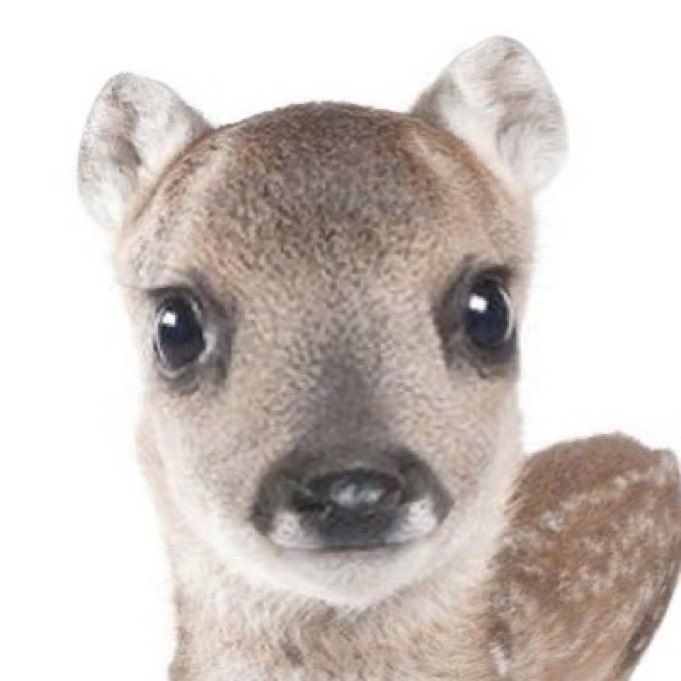 ‎sofía’s profile • Letterboxd