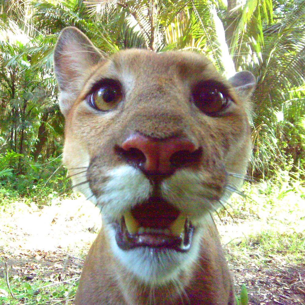 ‎Ethan Minter’s profile • Letterboxd