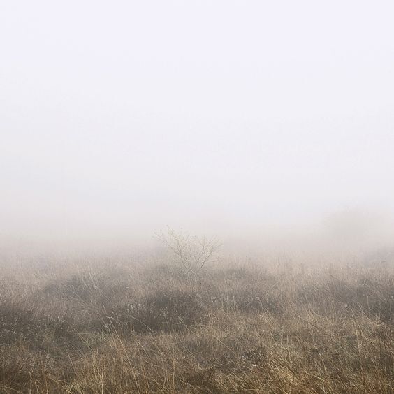 ‎moth_land’s profile • Letterboxd