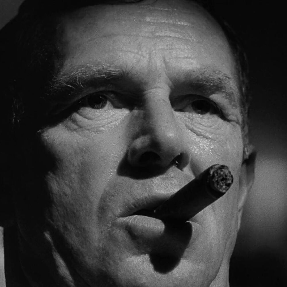 ‎carfo’s profile • Letterboxd