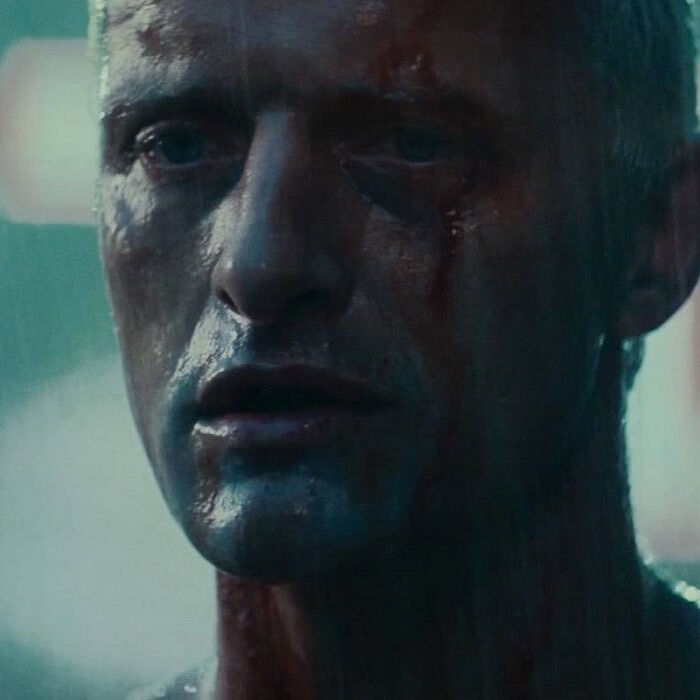‎Roy Batty’s profile • Letterboxd