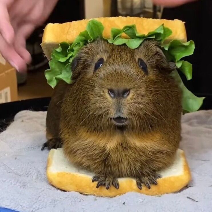 ‎leo poop’s profile • Letterboxd