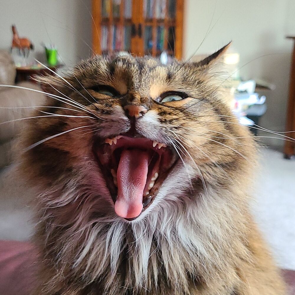 ‎Macie’s profile • Letterboxd