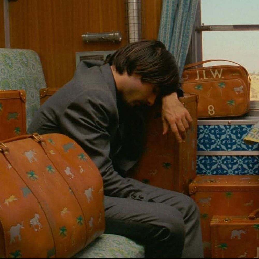 ‎Jay McFly’s profile • Letterboxd