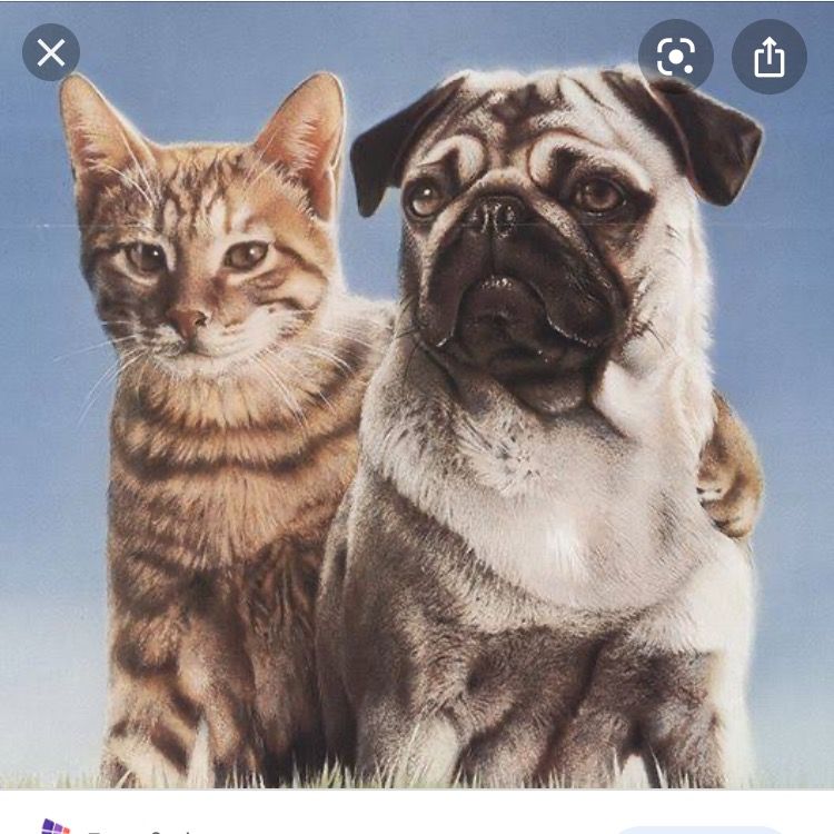 ‎Christopher Micallef’s profile • Letterboxd