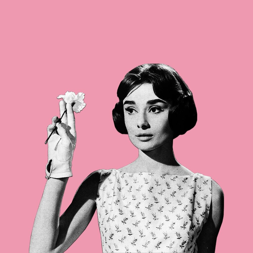 ‎Vinny Sandhu’s profile • Letterboxd