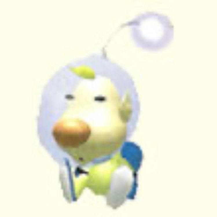 ‎Sean Perrin’s profile • Letterboxd