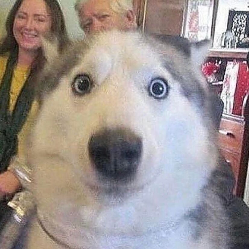 ‎Daniel Neff’s profile • Letterboxd