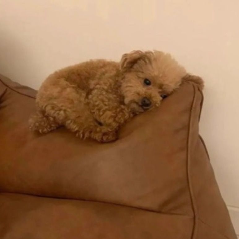 ‎sleepyjan’s profile • Letterboxd