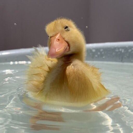 ‎Liz’s profile • Letterboxd