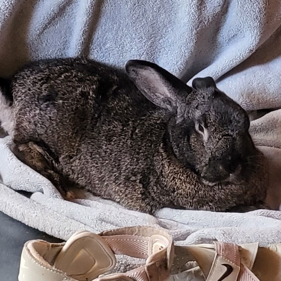 ‎Katt Kirsch’s profile • Letterboxd