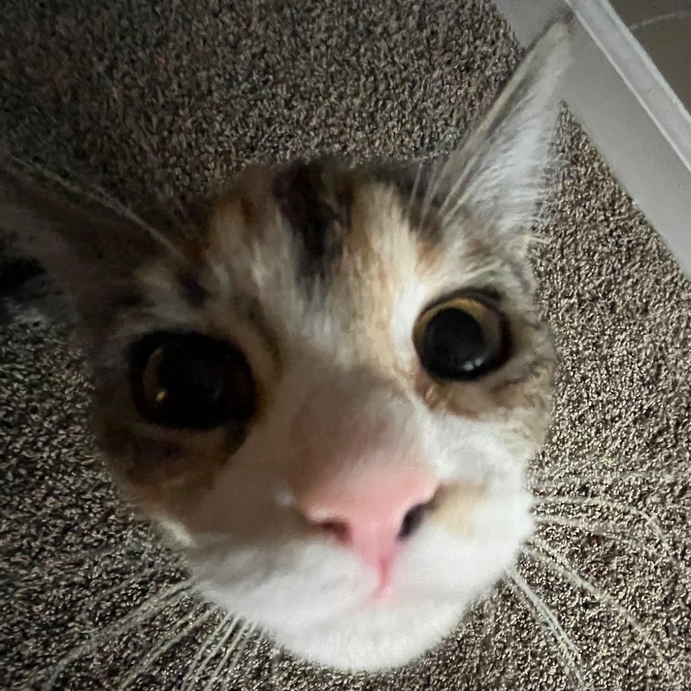 ‎Bryce McDaniel’s profile • Letterboxd