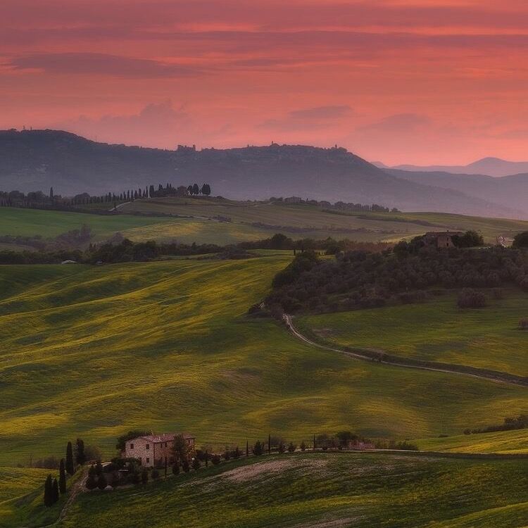 ‎Nancy María’s profile • Letterboxd