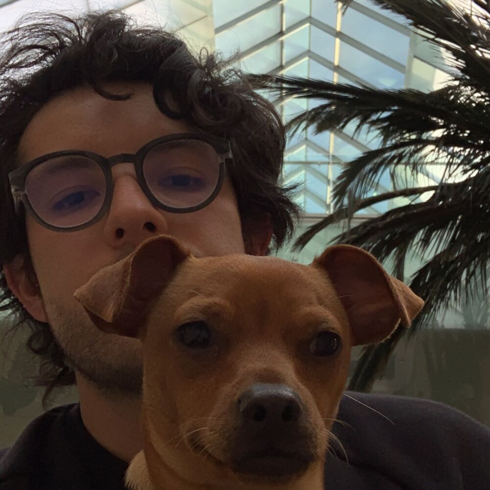 ‎Nicolas O’s profile • Letterboxd