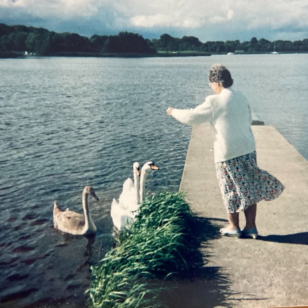 ‎alicen’s profile • Letterboxd