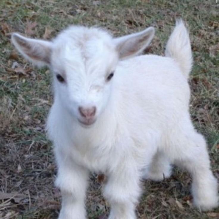 ‎Mar Gutiérrez’s profile • Letterboxd