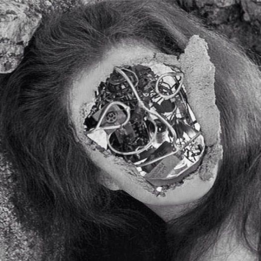 ‎Penny’s profile • Letterboxd